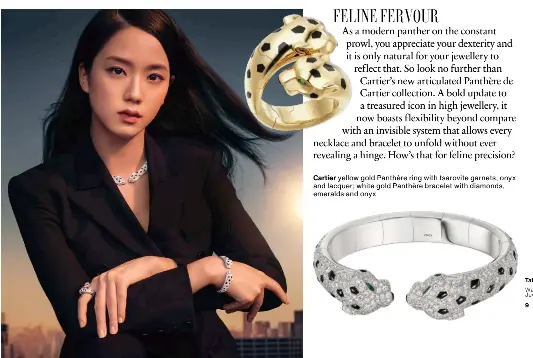 FELINE FERVOUR - PressReader