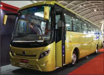 Sheena Buses and Coaches - PressReader