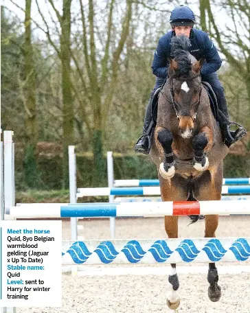 Exercise two: jumping - PressReader