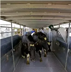 Agricultur­e’s ferry lifeline in the Northern Isles - PressReader