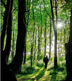 The countrysid­e in... April | Landscape (UK) | PressReade­r