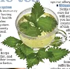 DEEPA RANGANATHA­N Nettle tea - PressReader