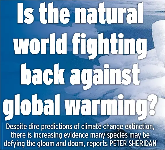 Is the natural world fighting back against global warming? - PressReader