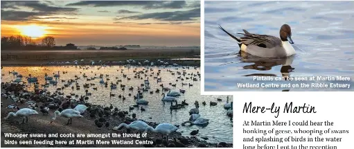 Mere-ly Martin - PressReader