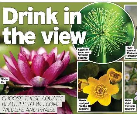 Drink in the view - PressReader