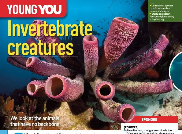 Invertebra­te creatures - PressReader