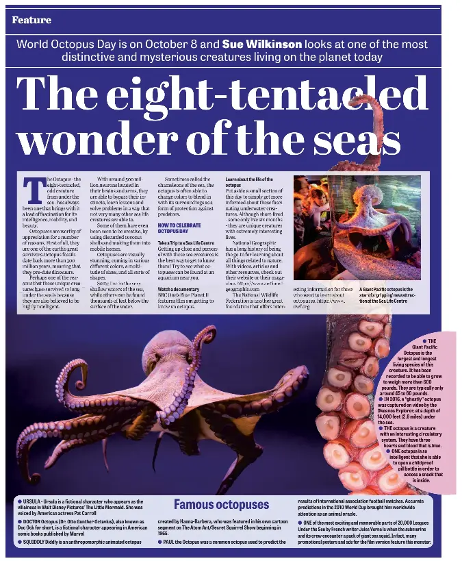 The eight-tentacled wonder of the seas - PressReader