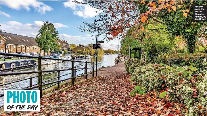 Letters Bungalows are low-level concern for developers - PressReader