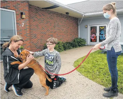 Rescued dogs in Nova Scotia - PressReader