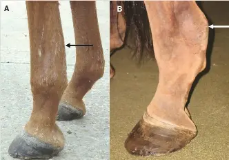 TREaTMENT - PressReader