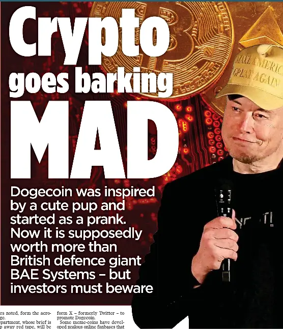 Crypto goes barking MAD - PressReader