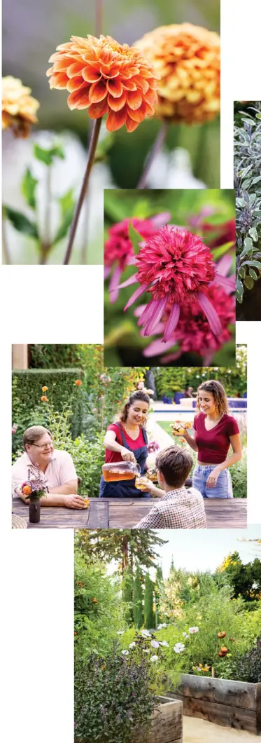 Cutting Garden - PressReader