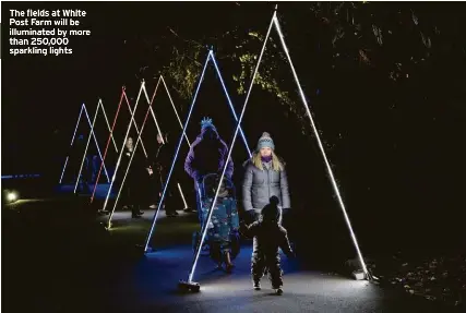 Meet the animals and see the lights on magical trail - PressReader