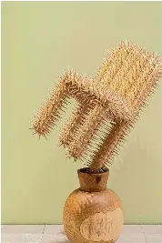 Thorned wood sculptures a story of belonging - PressReader