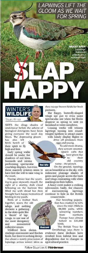 SLAP HAPPY - PressReader