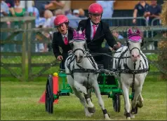 Scurry racers are in a hurry - PressReader