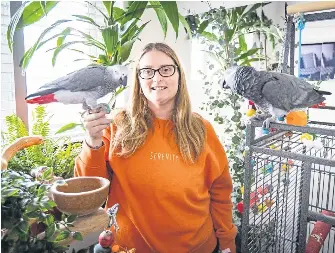 Lesley creates a parrot haven - PressReader
