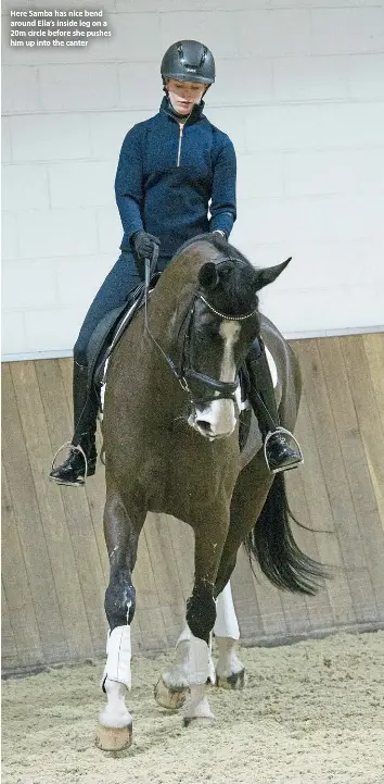 EXERCISE 3 CANTER-TROT-CANTER TRANSITION­S - PressReader