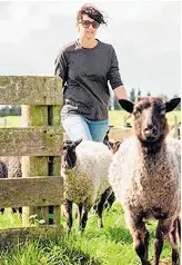 Gotland fleece - PressReader