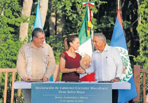 México, Guatemala y Belice firman acuerdo histórico para proteger la selva maya - PressReader