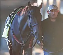 TWO-HORSE RACE? - PressReader