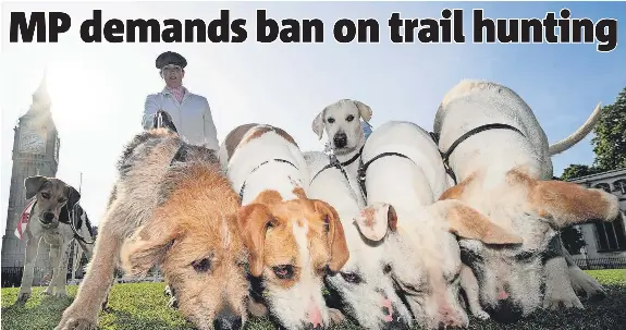 MP demands ban on trail hunting - PressReader
