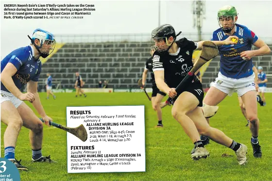 Allianz Hurling League Division 3A Hurlers survive a wobbly second-half ...