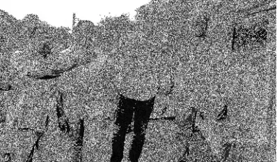 More water needed to serve Manchester’s growing population - PressReader