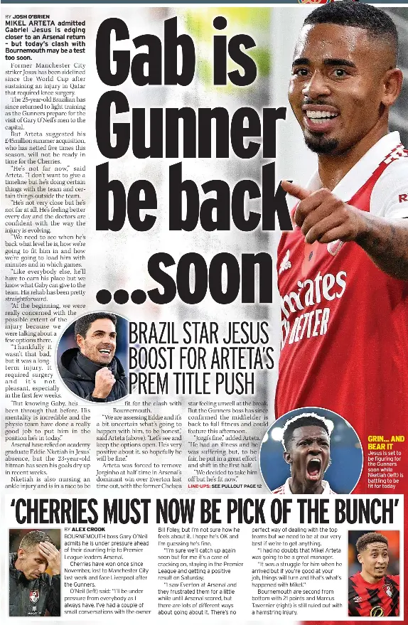 Gab is Gunner be back ...soon - PressReader