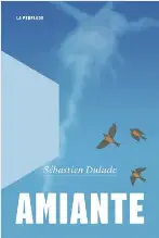 UNE VILLE TROP GRISE POUR UNE ÂME SENSIBLE - PressReader