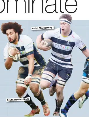 Camborne make impact but top two dominate final line-up - PressReader