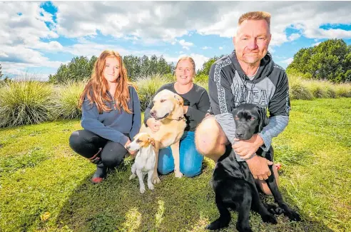 Expert sniffs out missing dogs - PressReader
