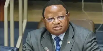 Zim close to commence preferenti­al trading under AfCFTA - PressReader