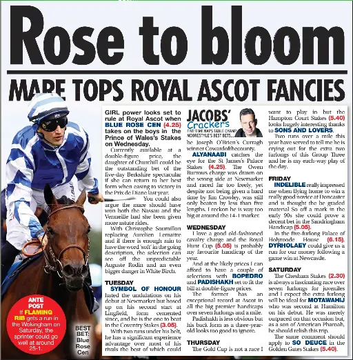 Rose to bloom - PressReader