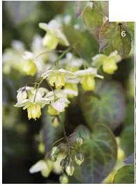 16 key plants - PressReader