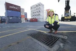 Number of exotic mozzies found in Nelson grows - PressReader