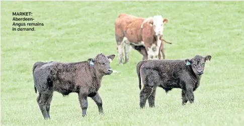 Registrati­ons of beef calves in UK were 1.94m head - PressReader