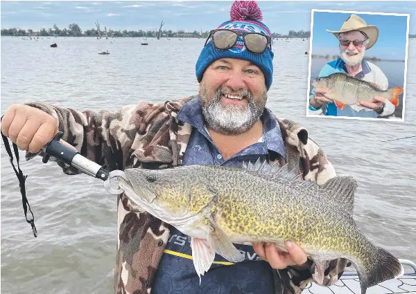 Cool reception for shark - PressReader