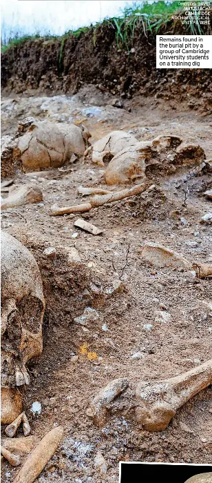 ‘Before we uncovered the first remains, our best find was a 1960s ...