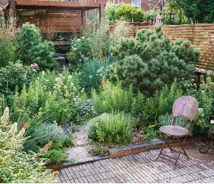 GARDEN VIEWS - PressReader