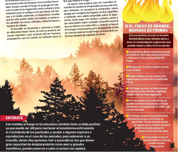 ZONA DE PELIGRO - PressReader