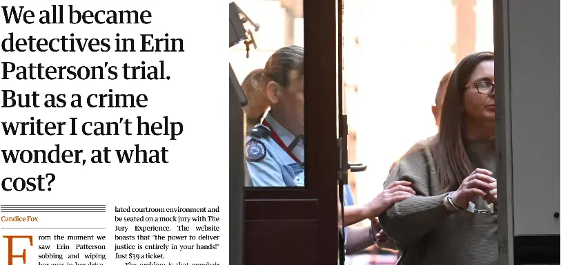 We all became detectives in Erin Patterson’s trial. But as a crime writer I can’t help wonder ...