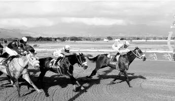 Reggae Month Trophy marks triumphant return for Laban - PressReader