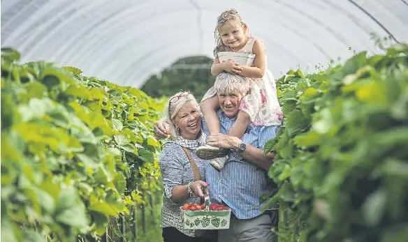 Craigies Farm in South Queensferr­y offering fruit picking for summer ...