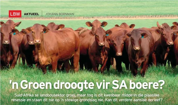 ’n Groen droogte vir SA boere? - PressReader
