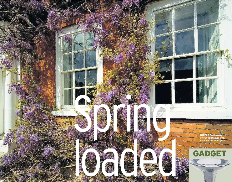 Spring loaded - PressReader
