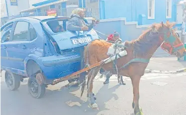 Pony rescued from pulling ‘absurdly heavy load’ - PressReader