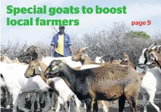 Special goats to boost local farmers - PressReader