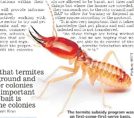 Plan for termite baiting program - PressReader