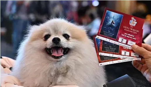 Paws for thought: Thai cinema goes pet-friendly - PressReader